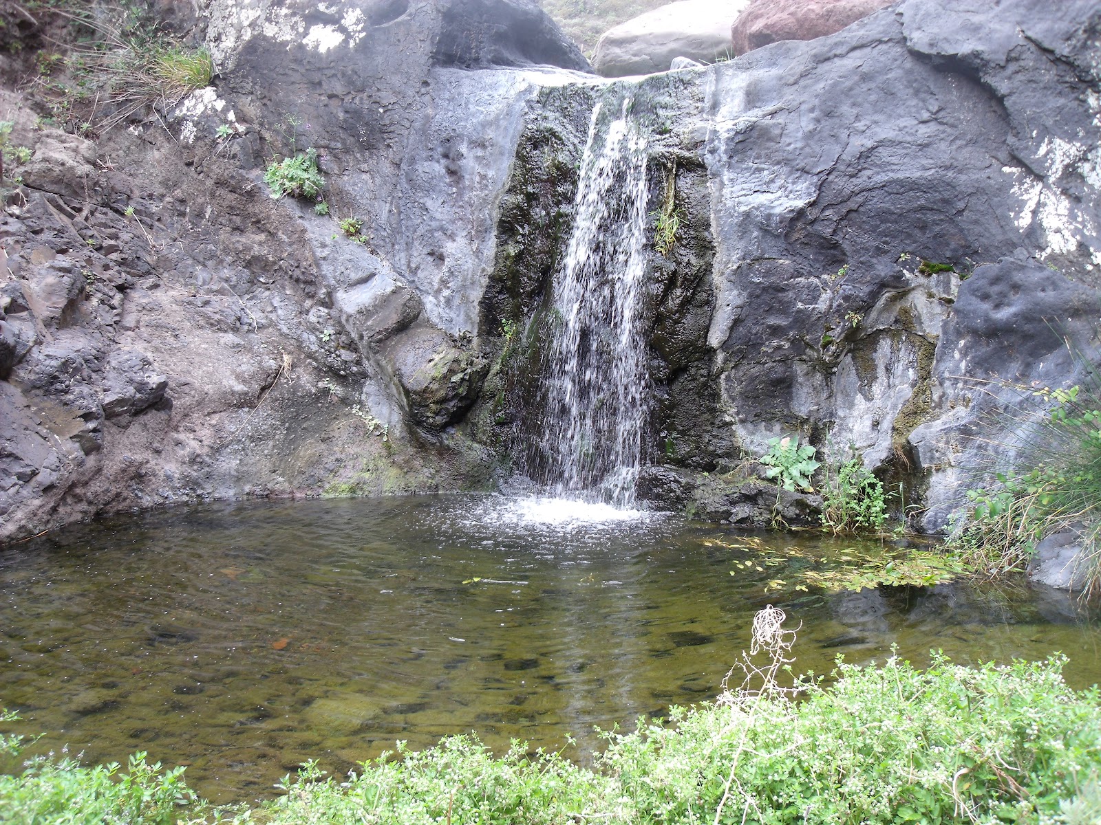 BARRANCO DE AFUR-PLAYA TAMADITE ~ SENDEROS DE TENERIFE