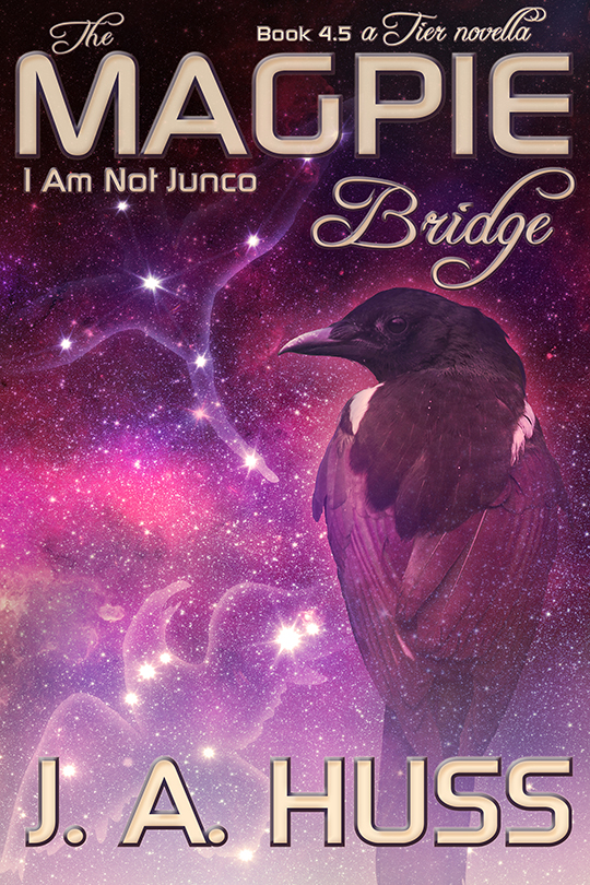 cover of The Magpie Bridge by JA Huss