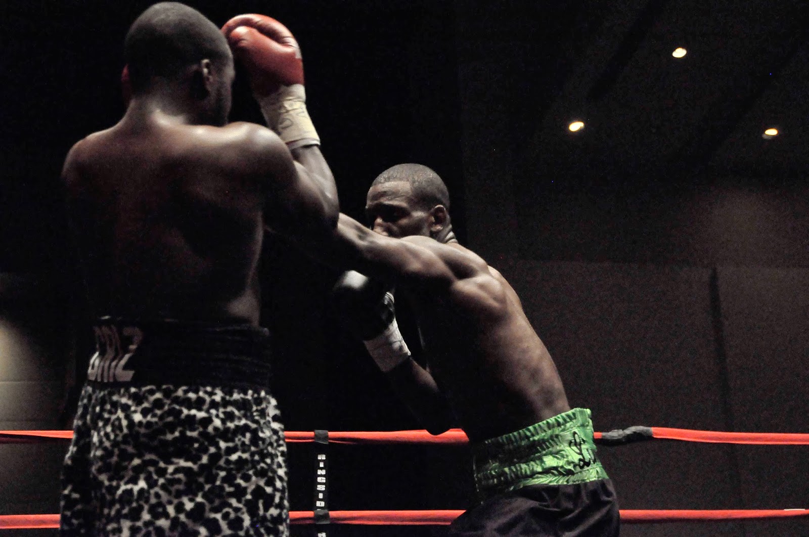 Boxing Along The Beltway: Newby Wins Unanimous Decision!