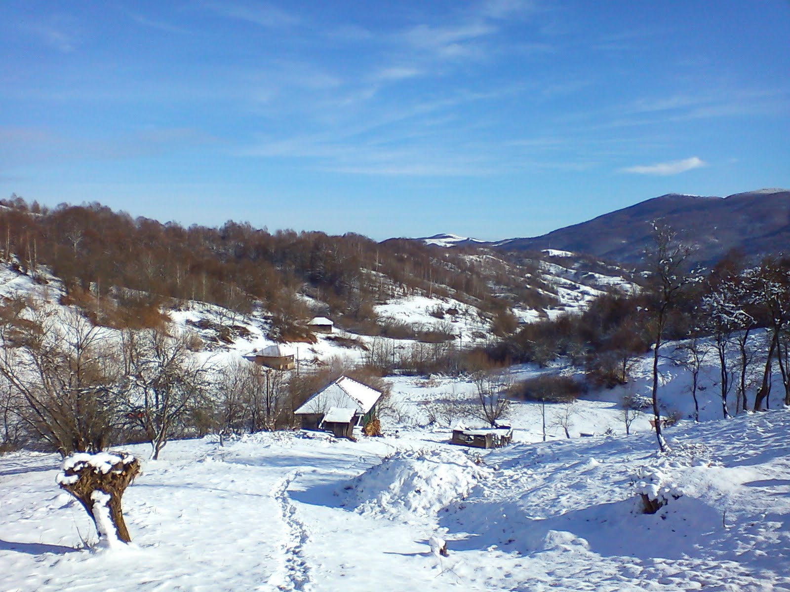 Ecomunitate: Prima ninsoare