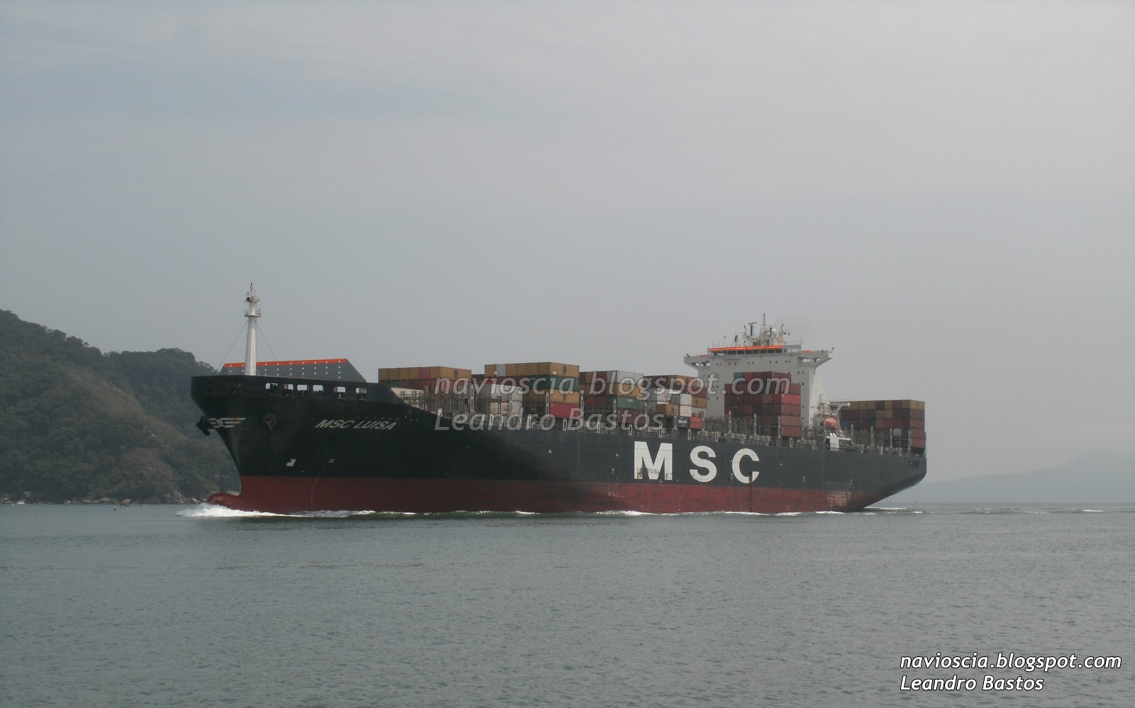 Navios de Santos & CIA: Navio MSC LUISA
