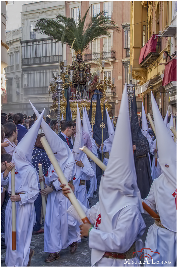 España Catolica ¡Bendita seas!: Ya es Domingo de Ramos