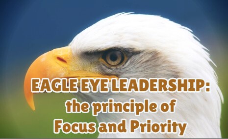 Seven Leadership Principles To Learn From An Eagle