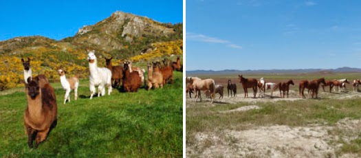 NephiCode: April 2014