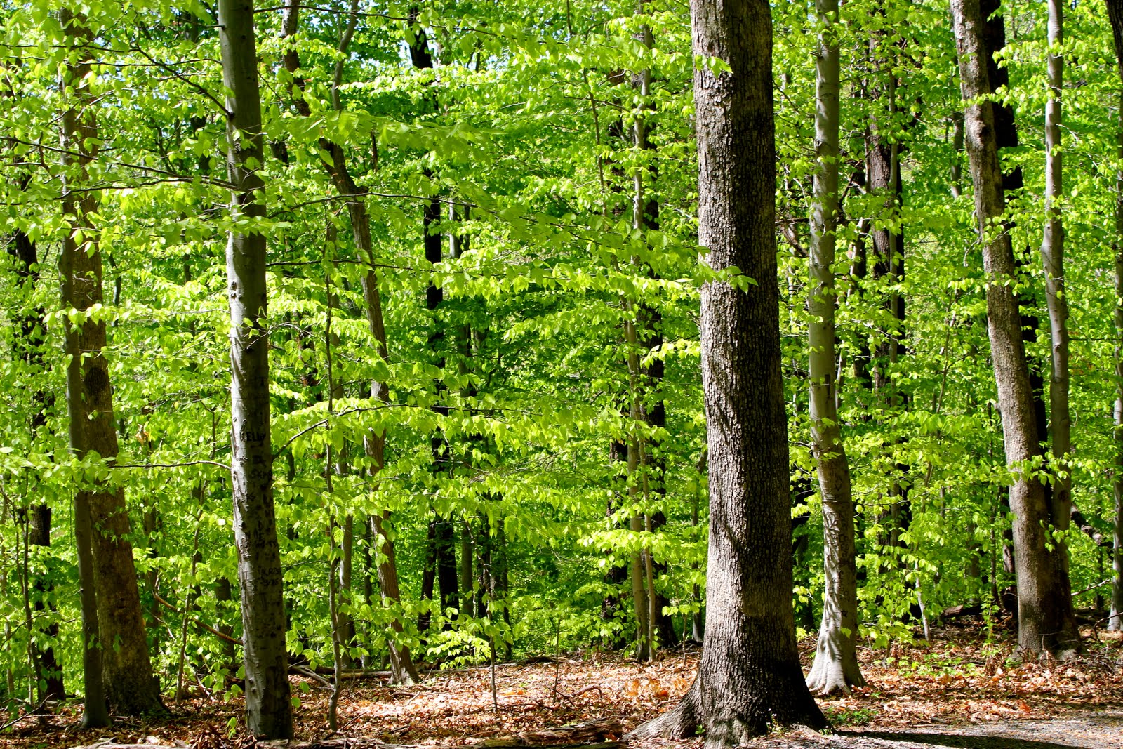 Here and There: The Journey of Life Can Get Rough Sometimes