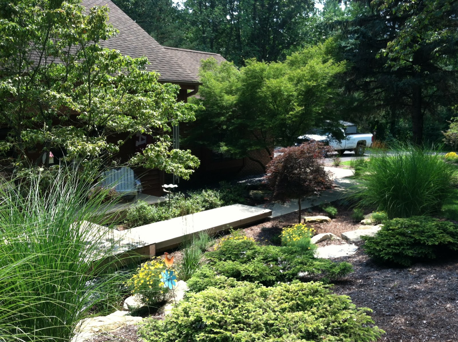Apex Landscape: Backyard Makeover