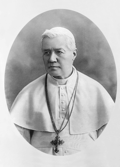 Saint Pope Pius X - Go to Mary