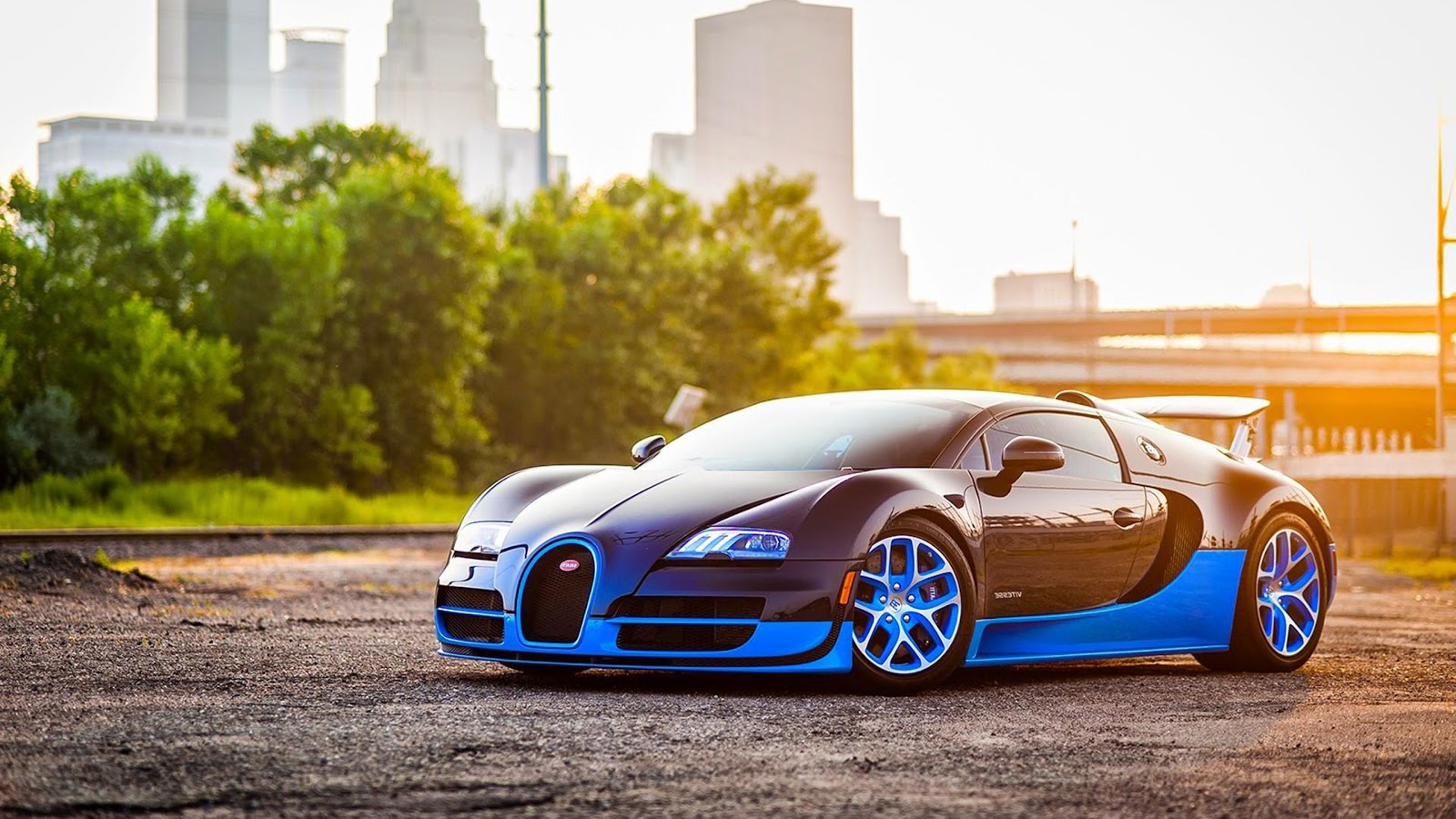 Bugatti Veyron Top Speed - Topest Cars and Bikes