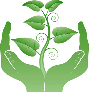 Going Green: Green Living Ideas - Save Earth, Save Life