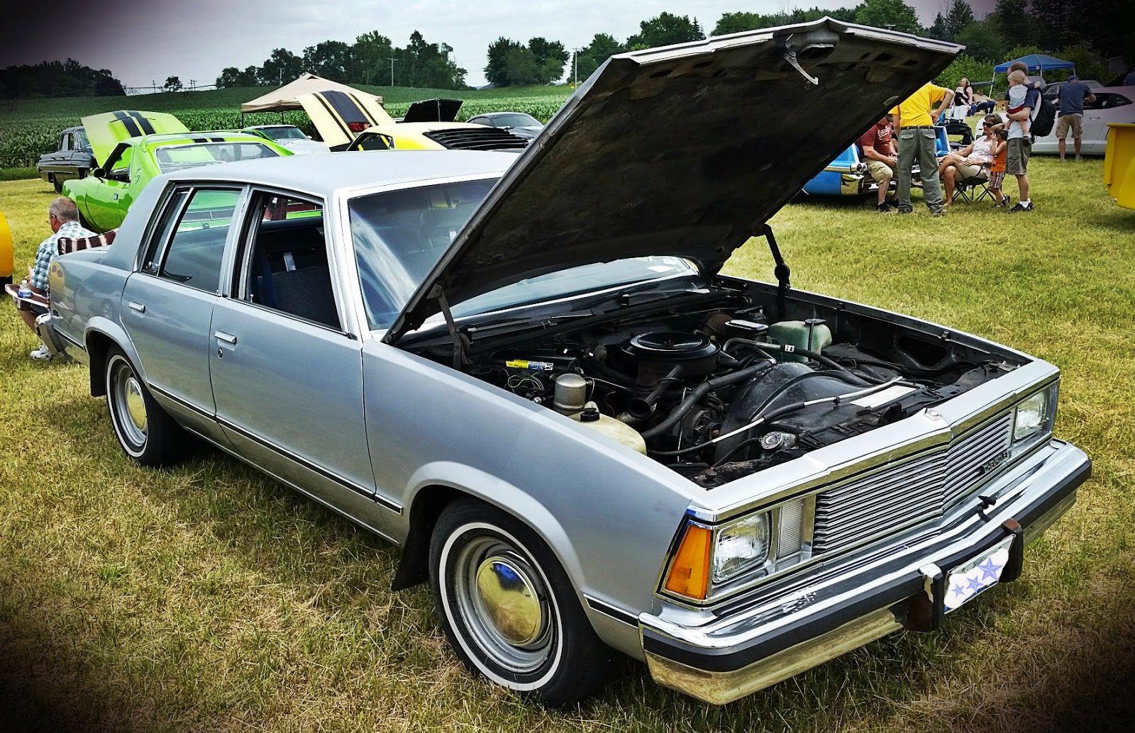 Desert Duty: The Story of the 'Iraqi Taxi' Malibus of 1981