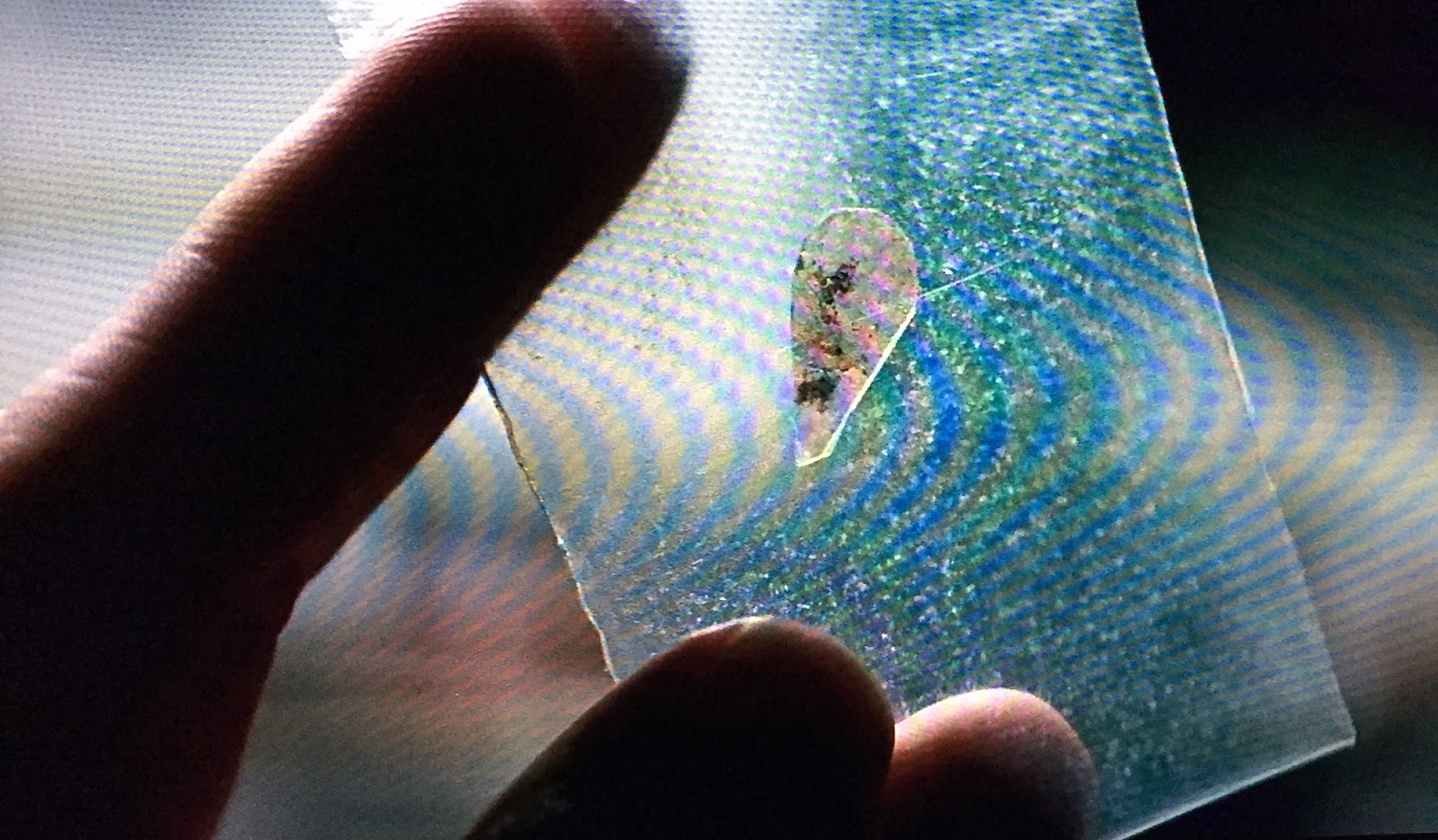 Blade Runner Zhora Polaroid Photo and Snake Scale in evidence bag Prop ...