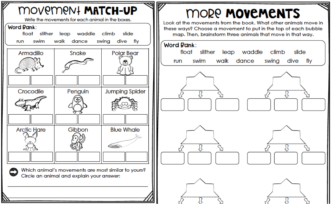 Paiges of Learning: Spotlight on Steve Jenkins!