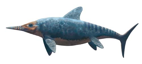 Biology of the Reptilia: Lab #4: Dinosauria - Cait Falasco & Chris Koch