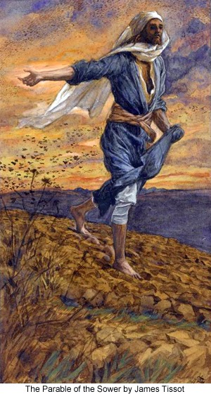 Primary New Testament Lesson 17 The Parables Of The Sower And The