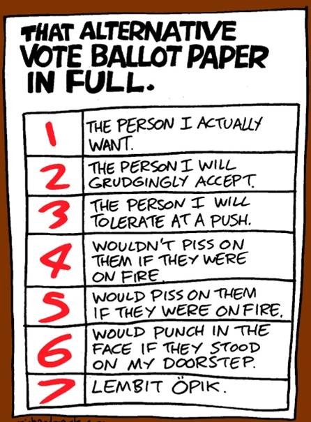 Apolitical Blog: Example AV Ballot Paper