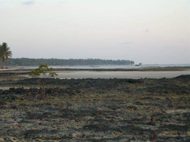 Masalembu City: Pulau Masalembu