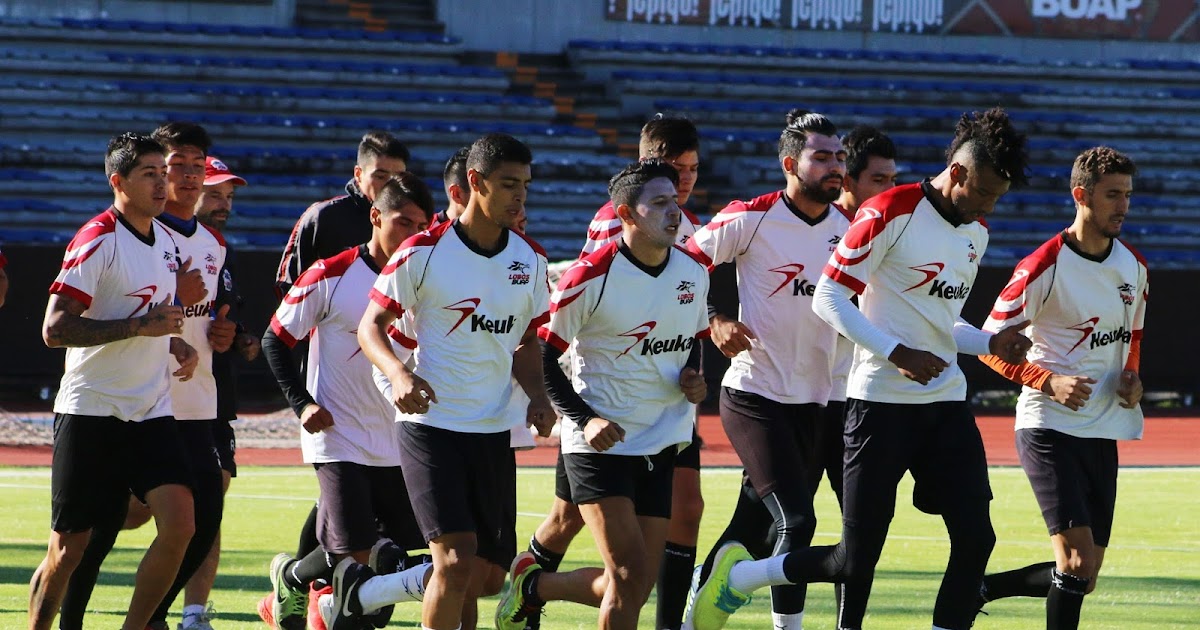 Lobos BUAP buscará ser un equipo intenso en el Apertura 2017 (VIDEO)