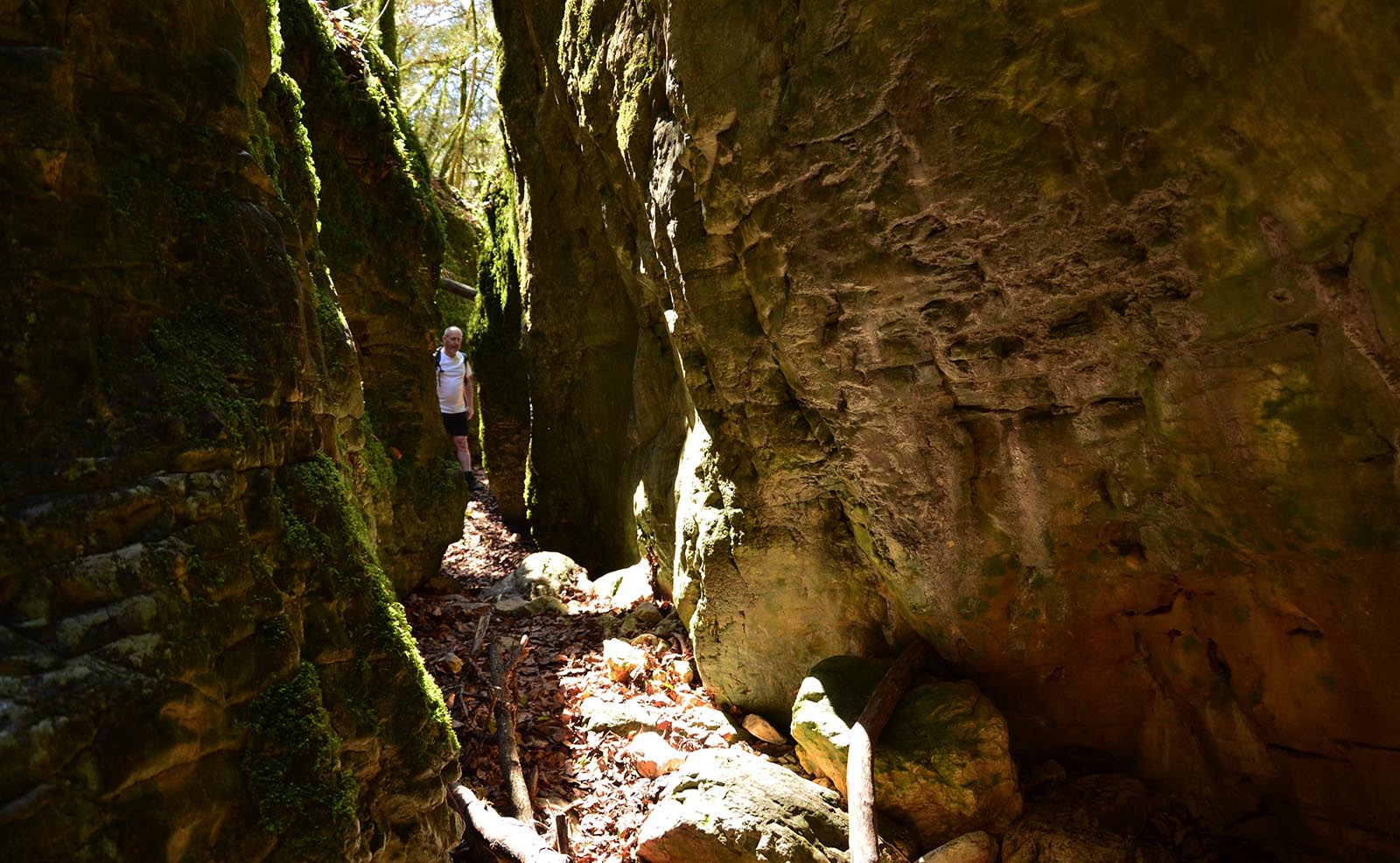 DROMESCAPE - Randonnées en Drôme et Escapades photographiques: Le ...
