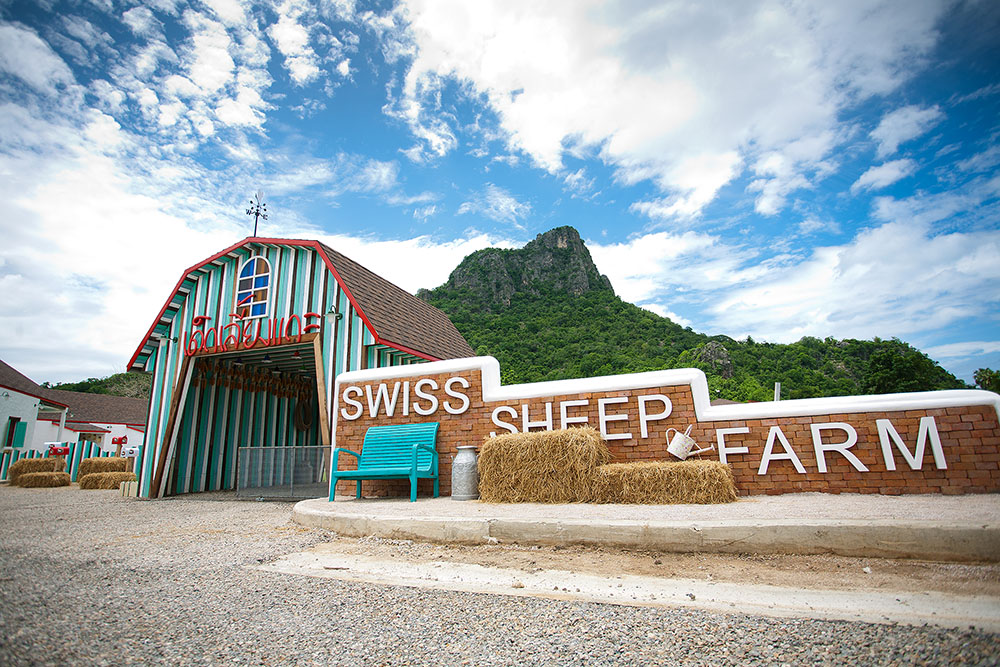 ท่องเที่ยวสะดุดตา: ฟาร์มแกะที่ชะอำเปิดแล้ว Swiss Sheep Farm ใกล้ซานโต ...