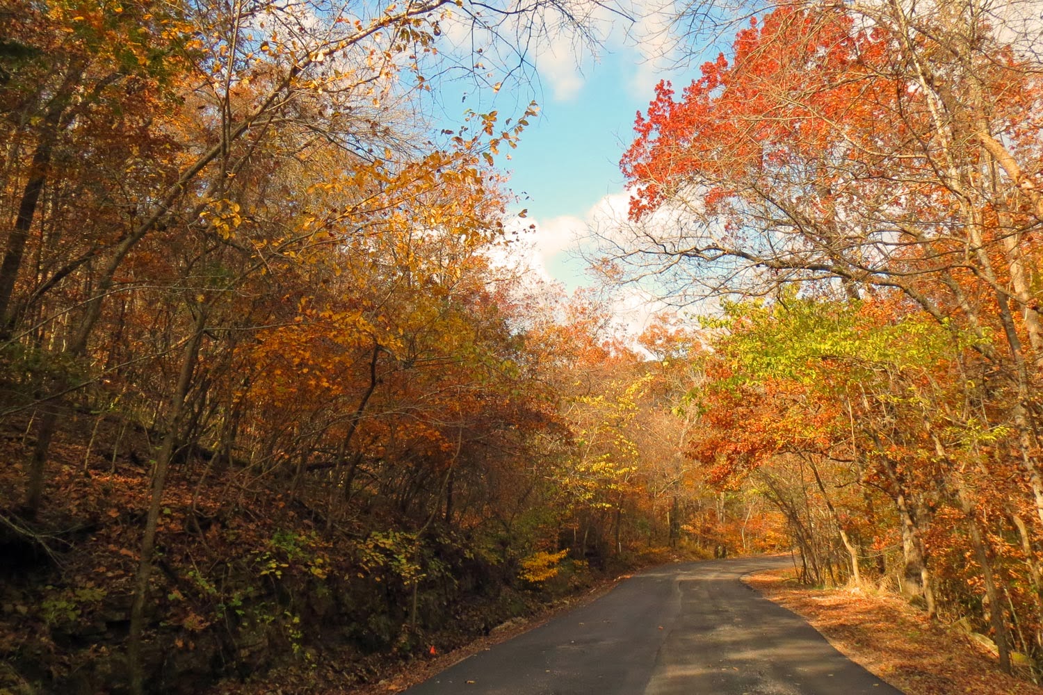 An Arkies Musings: Arkansas Autumn