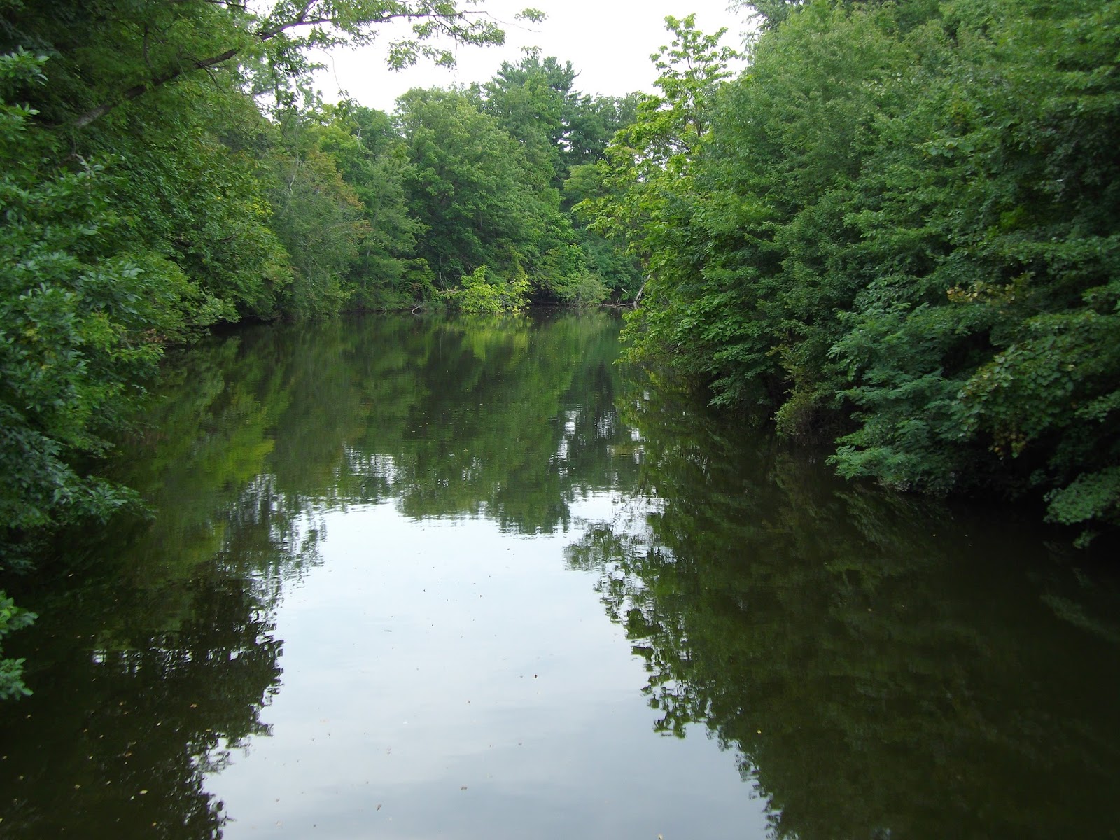 The Great Lakes of NYC: Hackensack River