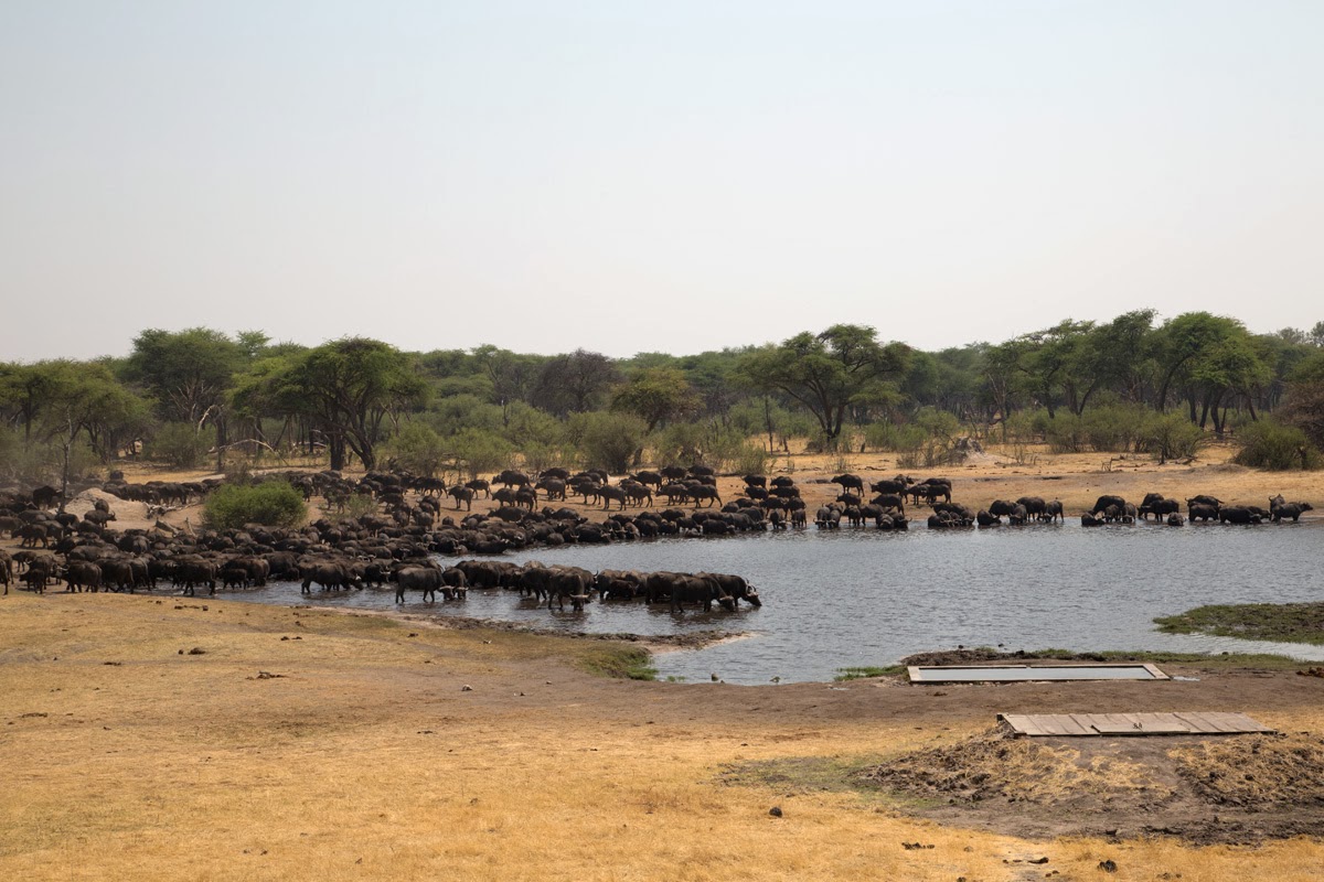 The f8 Group: Photography and Occasional Commentary: Collective Nouns