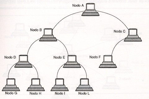 Reti informatiche: TOPOLOGIA AD ALBERO