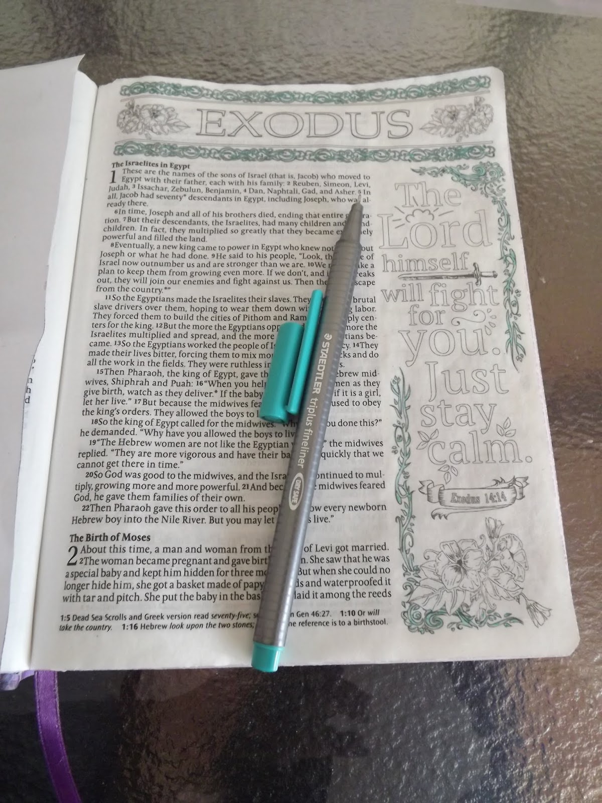 Bybel Legkaart: Bible Journaling - Exodus 1