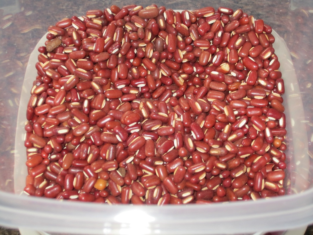 Shobha's Food Mazaa: AZUKI BEAN CURRY