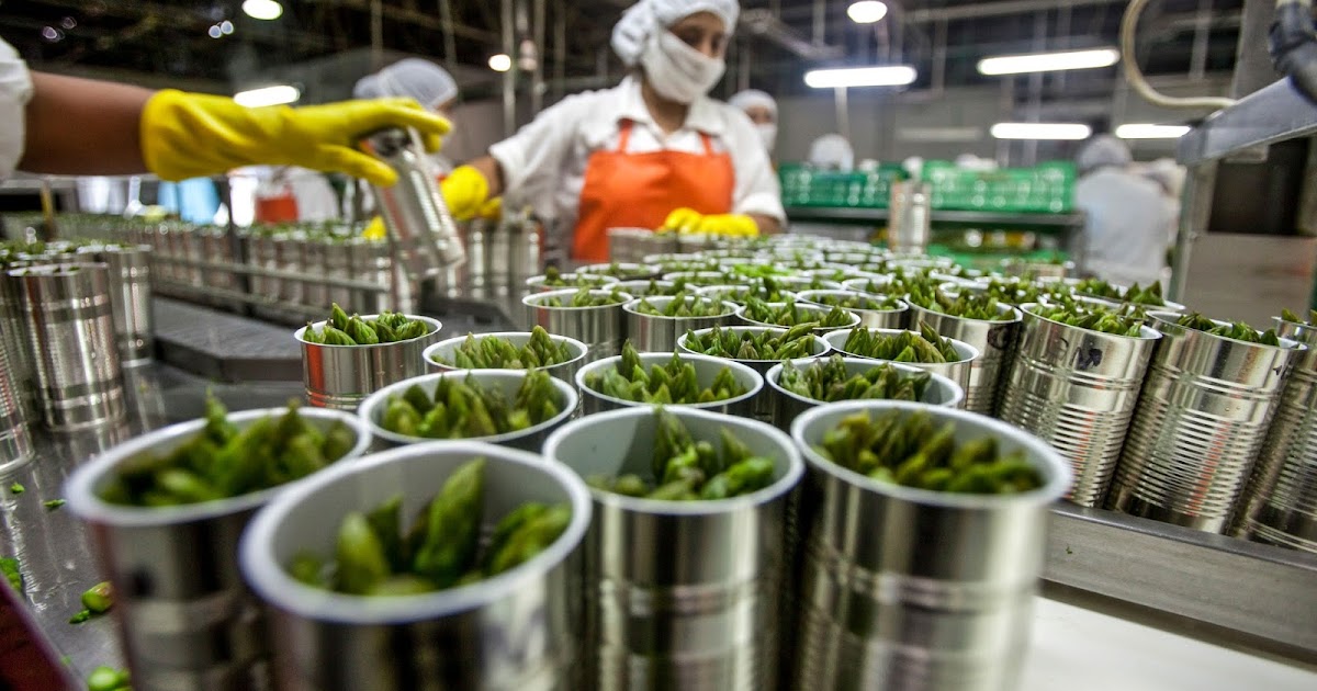 Agro UP: ¿Qué es la Agroindustria?