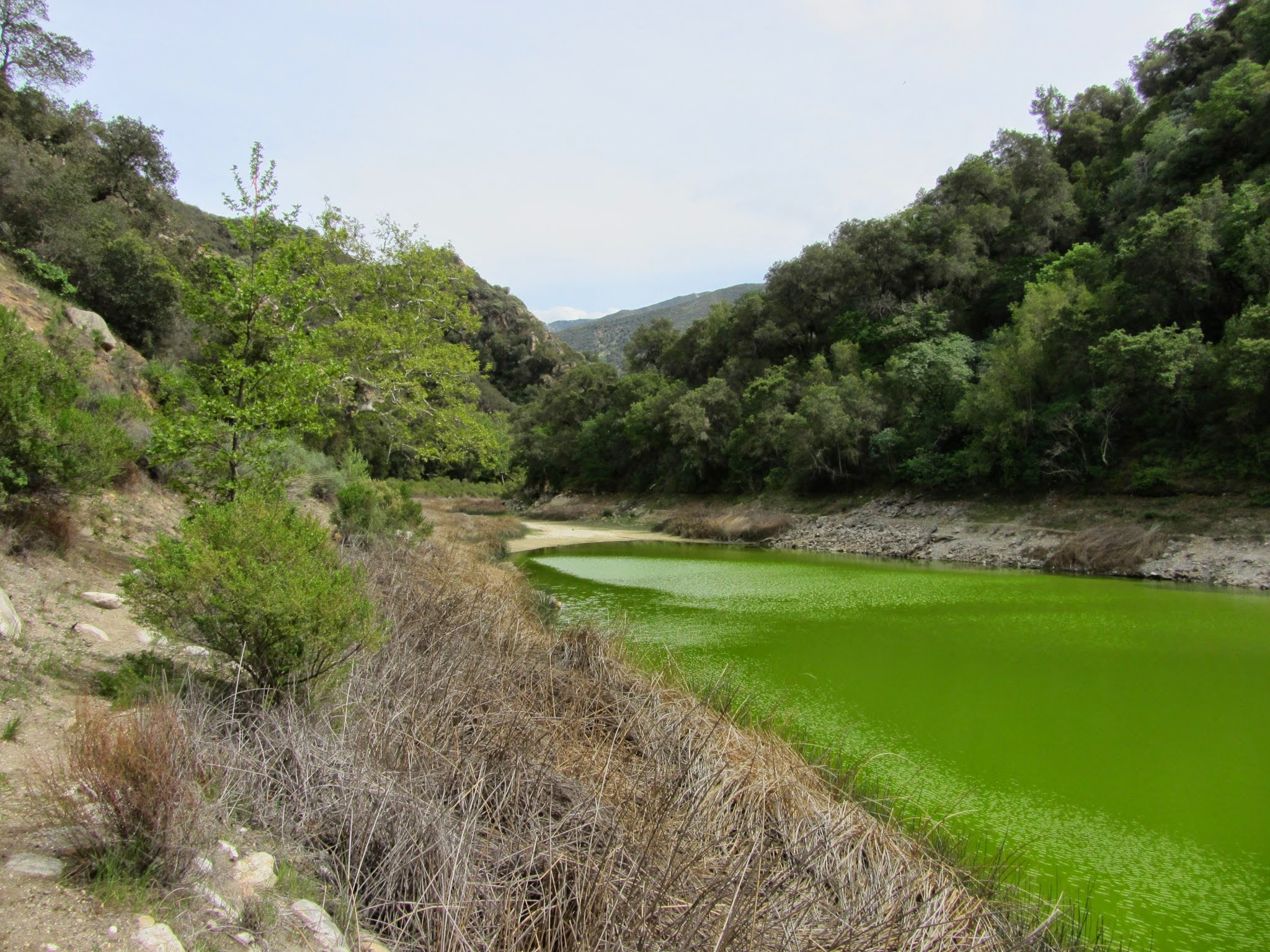 We Be Trekkin: Arroyo Seco Gorge/Santa Lucia Trail- Ventana Wilderness, CA