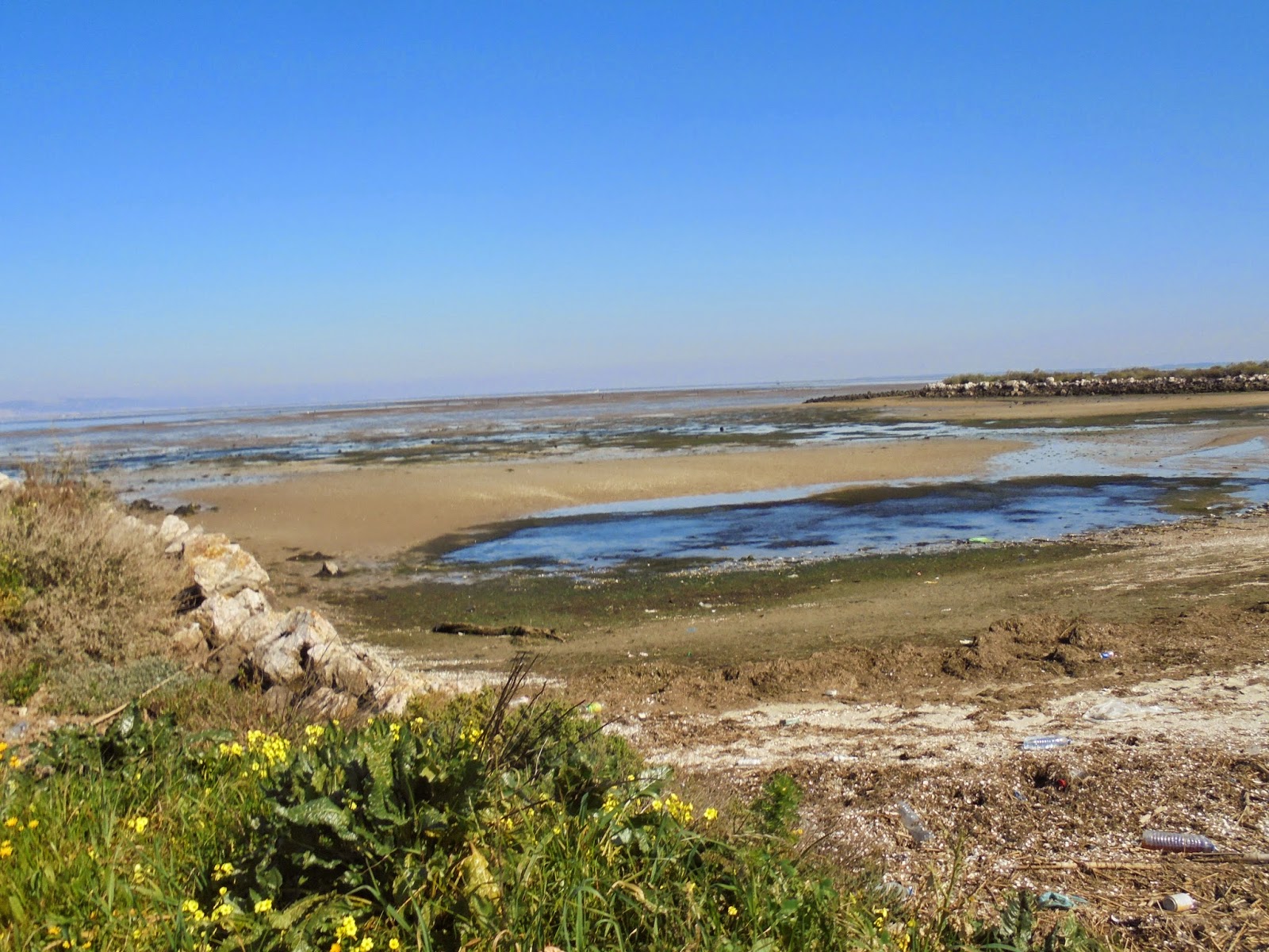 The Sweetest Pi: Caminhada pelas Salinas do Samouco