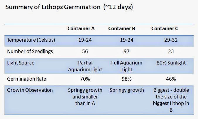 Creatif Garden: Growing Lithops in the hot tropical climate Part 1 ...