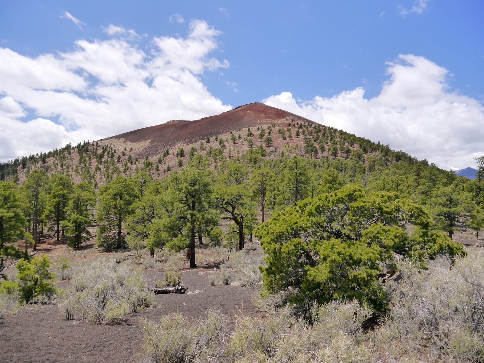 American Travel Journal: Cinder Hills Overlook - Sunset Crater Volcano ...