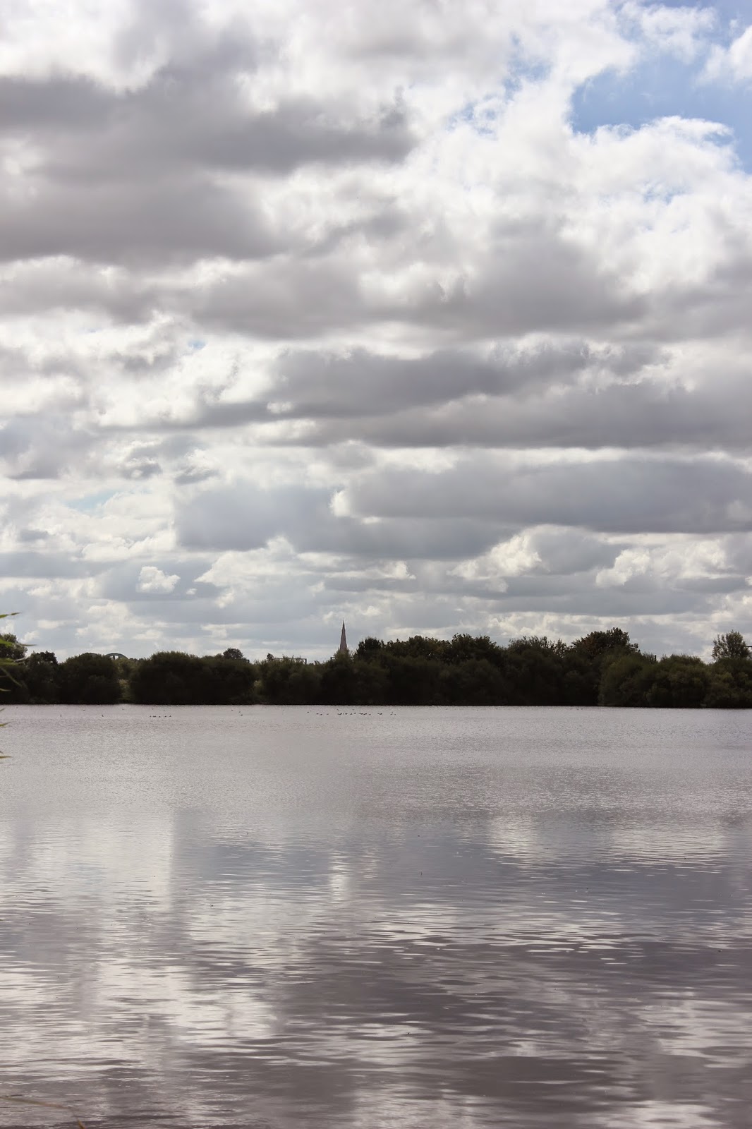 Fishing Diary: A1 Pits complex near Newark