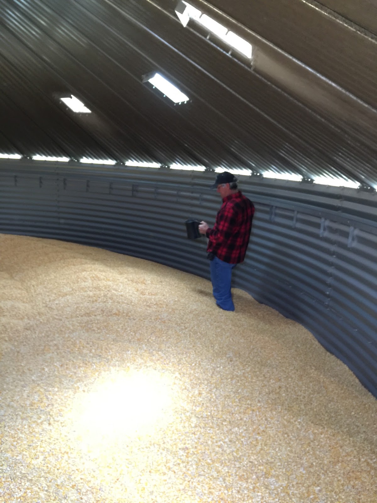 McKay Farms: Continuous Corn Moisture Monitoring