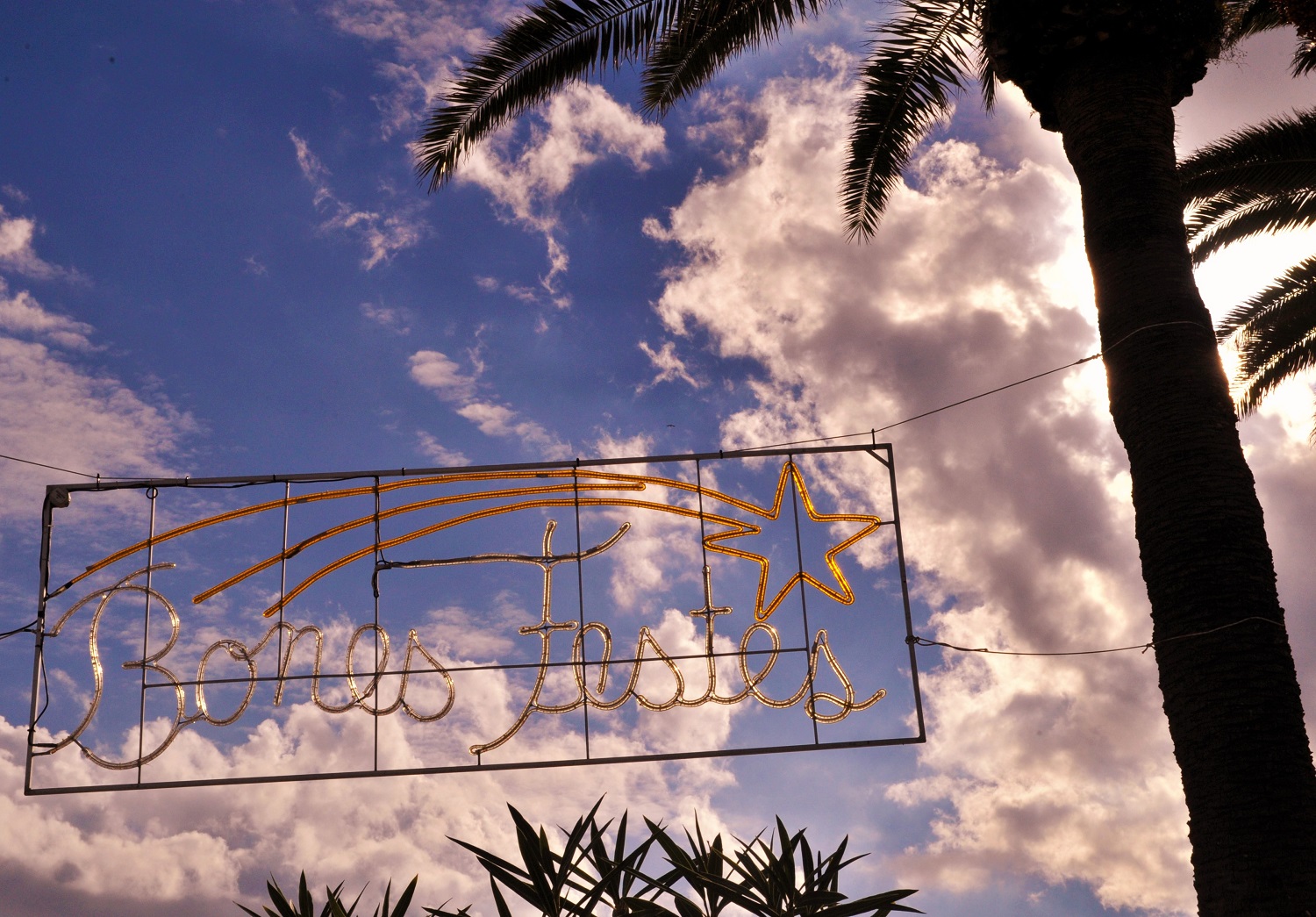 Blog del Màrius Domingo, Ca la Gallineta: Nadala.