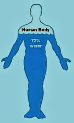 The Wealth of Health: Human body is 70 percent water