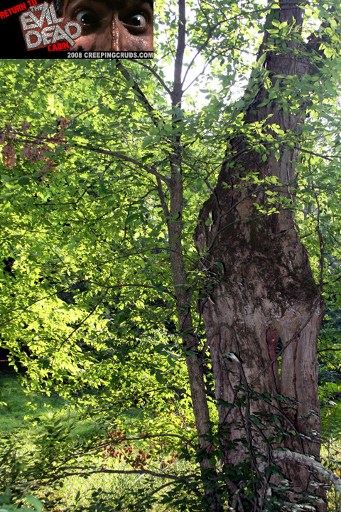 The Evil Dead Cabin