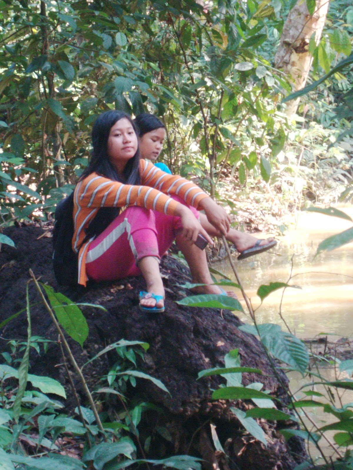 SANSEViERA "BUNGA JIWA" AeiROuRA: Suku kubu (ORANG RIMBA) di jambi