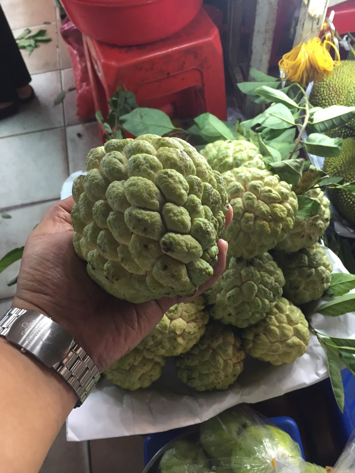 Regin's Realm: Atis in Vietnam!