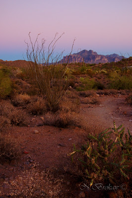 Exploring the Southwest: Cat Peak Loop - Usery Mountain Park.
