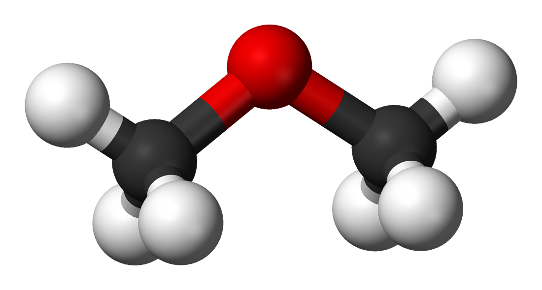 Science Fair Projects,Science Experiments,Famous Mathematicians,Neocube ...