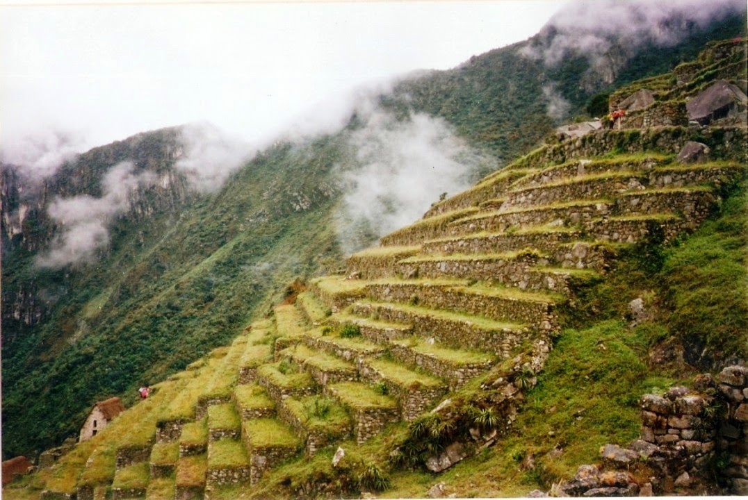 Comidas con historias: ¿Que sabes de la patata o papa?