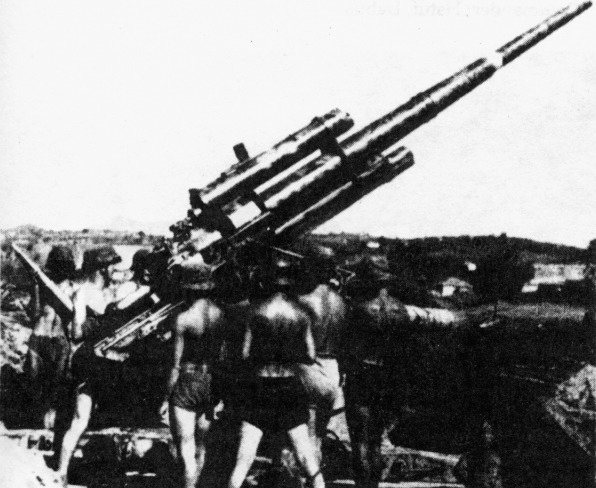 Neues Europa: SS Flak Detachment 16 - 16th SS Division ‘‘Reichsführer-SS”