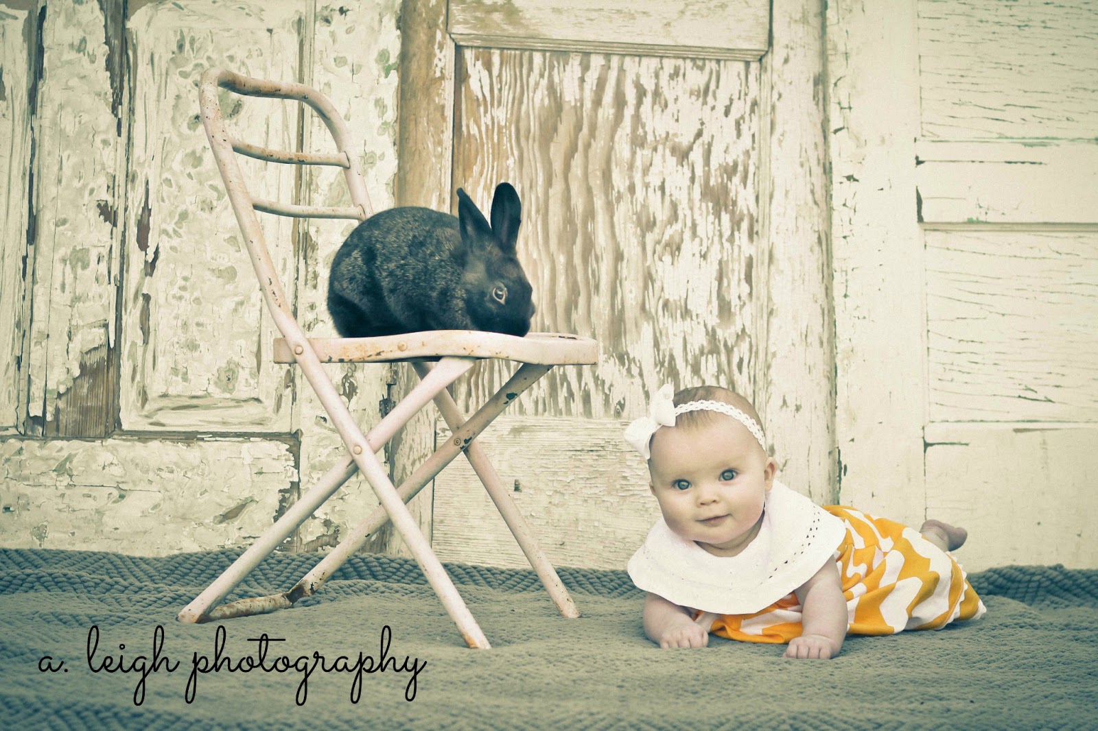 A. Leigh Photography: live bunny shoots {new braunfels, tx photographer}