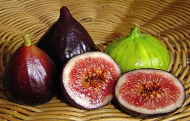 O melhor Alentejo do Mundo: Figos, o fruto perfeito