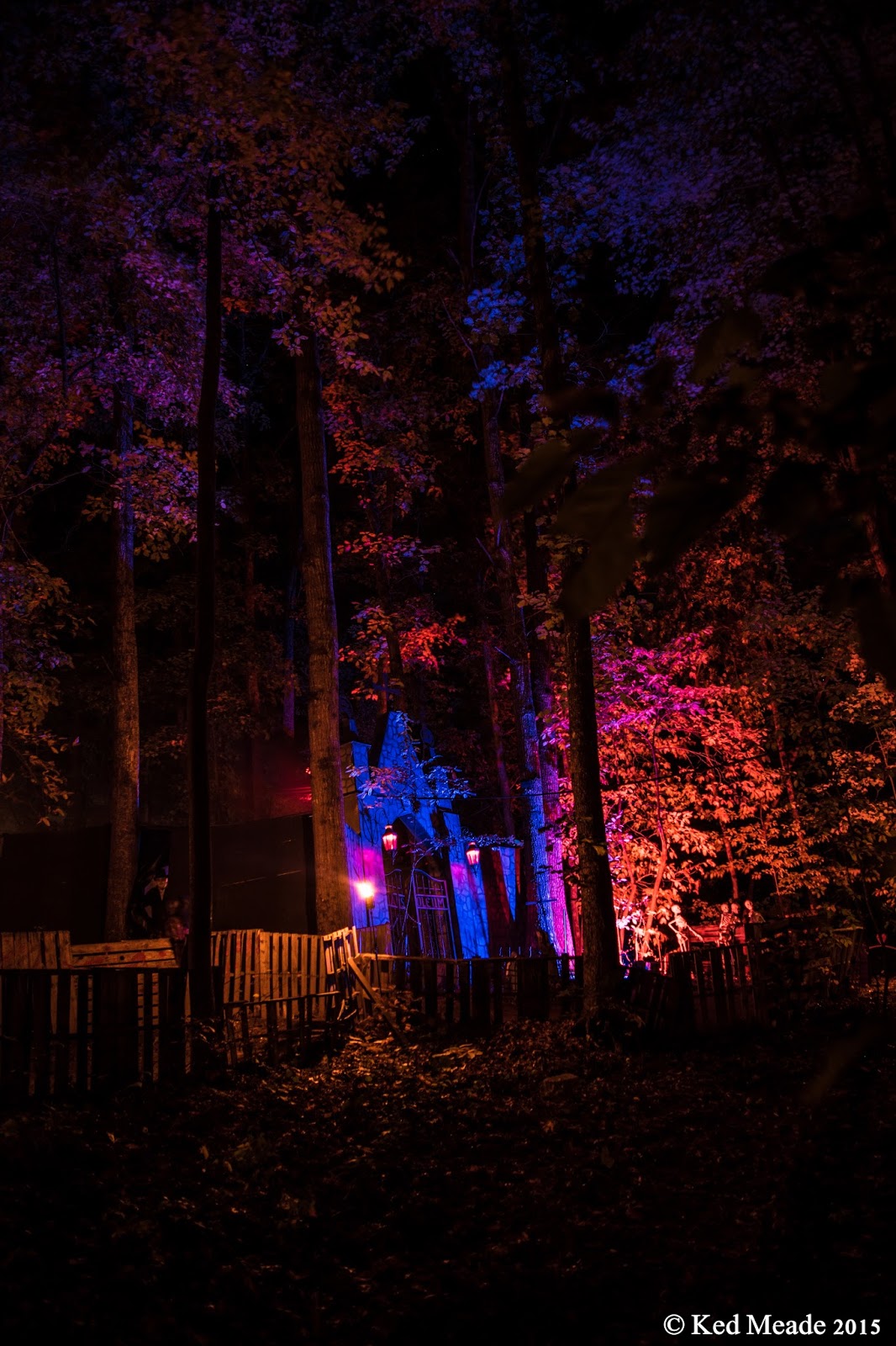 Something wicKED this way comes....: Taking a Wicked Walk Through The ...