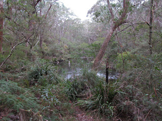 PhyloBotanist: Monga National Park