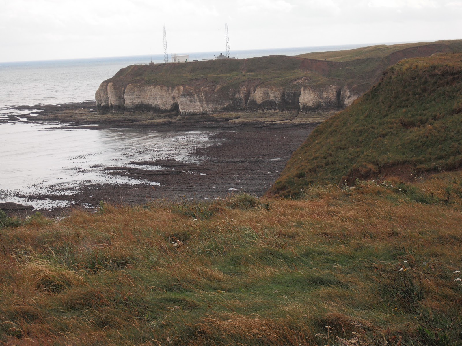 Walking the English coast - the easy way!: Walk 58 Flamborough Head to ...